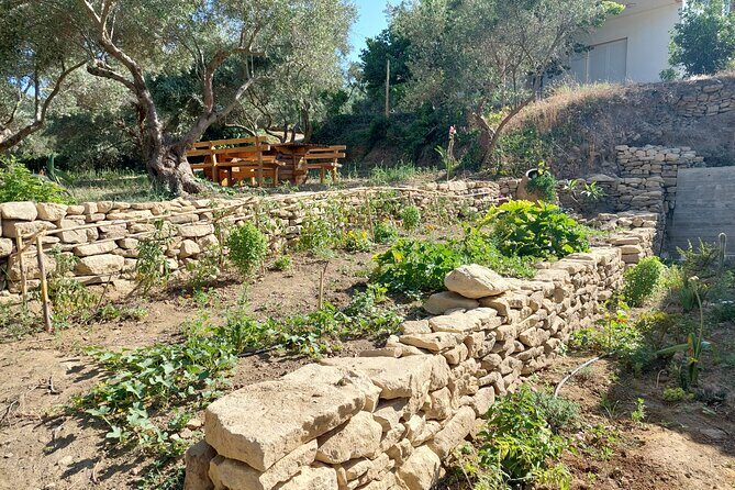 Wine Tasting: Meet the Cretan Vineyard at West Chania - Final Thoughts