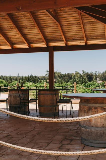 Wine Tasting Off-Road Tour - Authentic Experiences and Practicalities