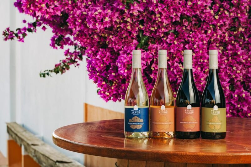 Wine Tasting Off-Road Tour - Final Word: Is This Tour for You?