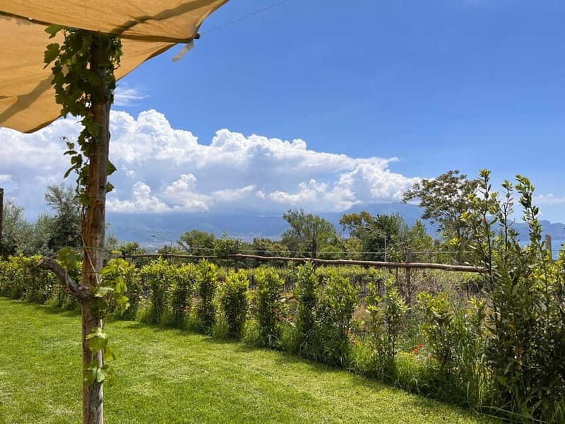 Wine Tasting on Mt. Vesuvius - The Sum Up