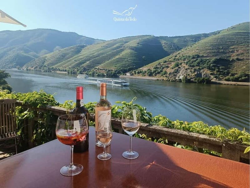 Wine Tasting QT textures of Rosé - Sunset vibe - Key Points