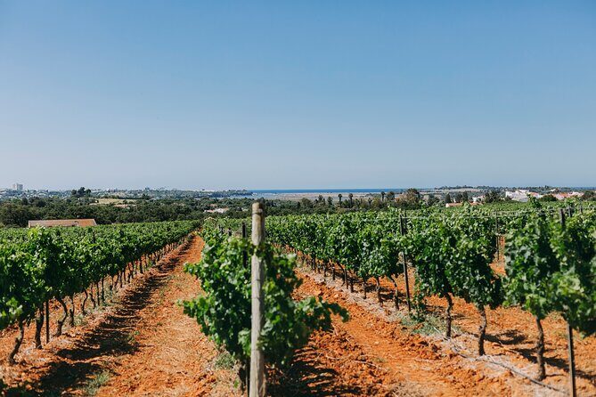 Wine Tasting & Tapas 4x4 Tours - Exploring the Itinerary: What You Can Expect
