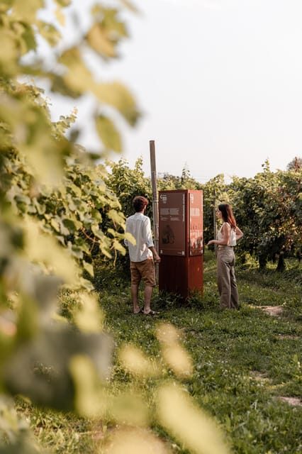 Wine Tasting: the flavors of the Prosecco Hills - Final Thoughts: Who Will Love This Tour?