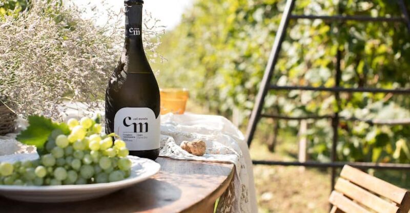 Wine Tasting: the flavors of the Prosecco Hills - Final Word