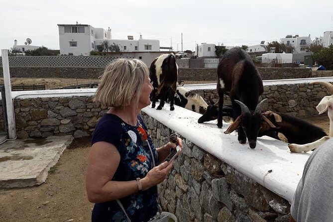 Wine Tasting Tour at a traditional farm in Mykonos - Who Should Consider This Tour?
