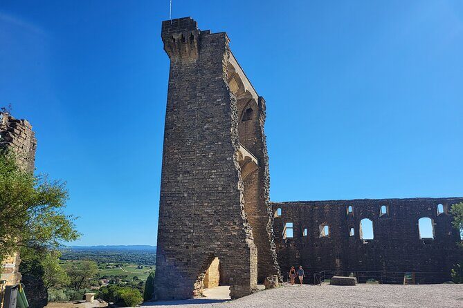 Wine Tasting Tour at Châteauneuf du Pape - Who Should Book This Tour?