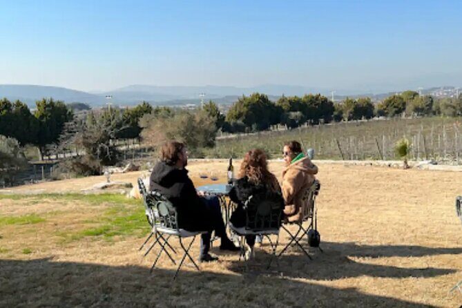 Wine Tasting Tour at Two Wineries in Urla Turkey - FAQs