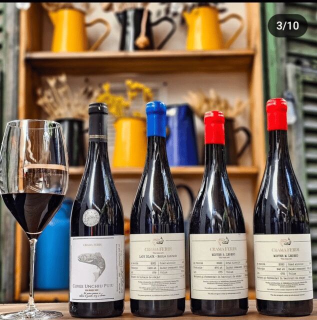 Wine tasting tour - Bucharest - Who Will Love This Tour?