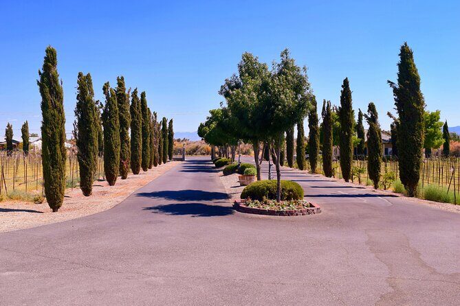 Wine Tasting Tour from Las Vegas with Snacks - The Guides: Knowledgeable and Personable