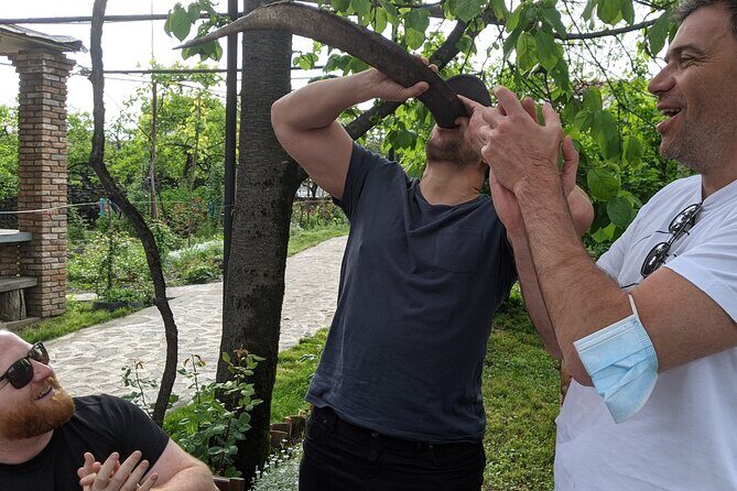 Wine Tasting Tour in Georgia's Cradle of Wine - Discovering Kakheti’s Wineries and Architectural Gems