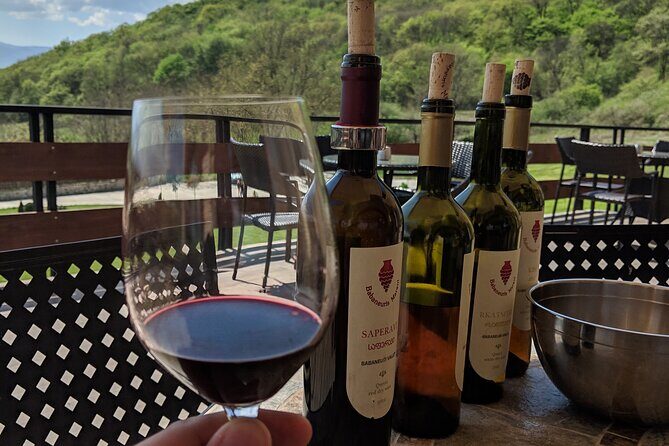 Wine Tasting Tour in Georgia's Cradle of Wine - Ending with Biodiversity and Unique Vineyards