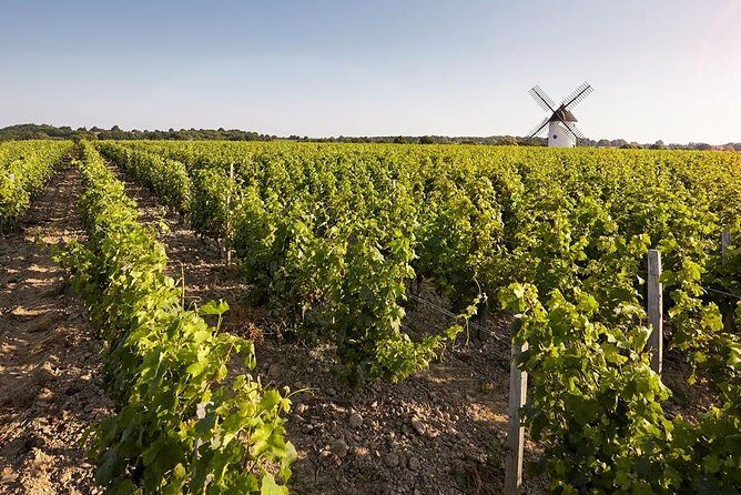 Wine tasting tour in Loire Valley with castle visits and lunch - FAQs About This Loire Valley Tour