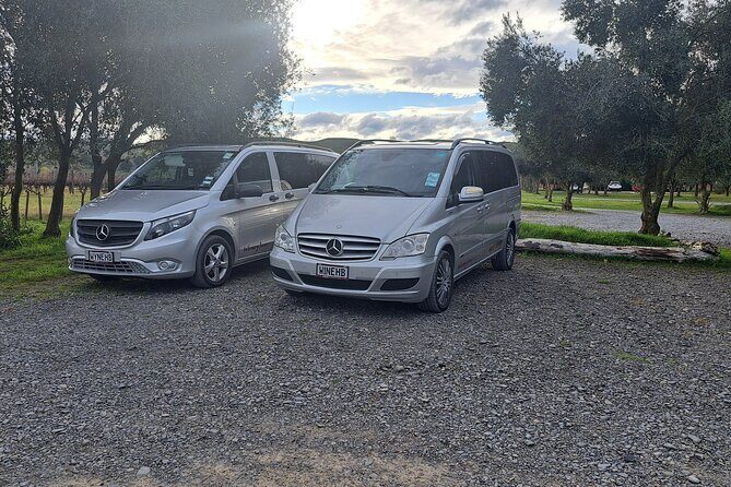 Wine Tasting Tour in Napier Region - Exploring the Wine Tasting Tour in Napier Region: A Practical Guide