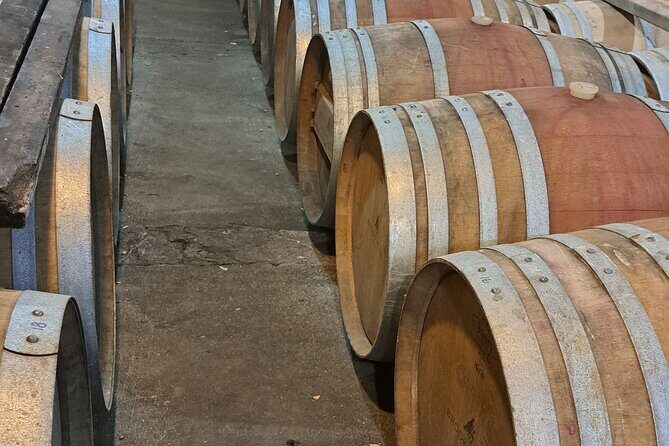 Wine Tasting Tour in Napier Region - Practical Details and Tips