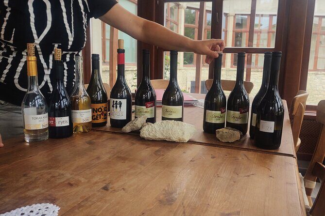 Wine Tasting Tour in Tokaj Wine Region Slovakia. With transport - In-Depth Look at the Experience
