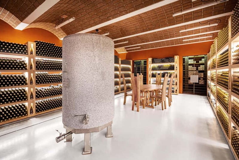 Wine Tasting Tour: Journey to South Tyrols Finest Wines - Who Should Consider This Tour?