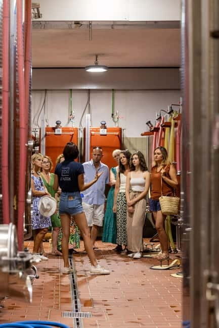 Wine tasting tour - Le Pradet - A Friendly Guide to the Wine Tasting Tour in Le Pradet