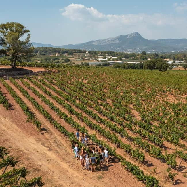 Wine tasting tour - Le Pradet - Key Points