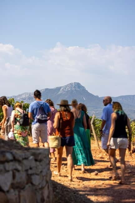 Wine tasting tour - Le Pradet - Authentic Experience and Authentic Wines