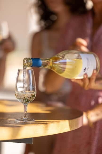 Wine tasting tour - Le Pradet - Final Thoughts: Why This Tour is a Real Find