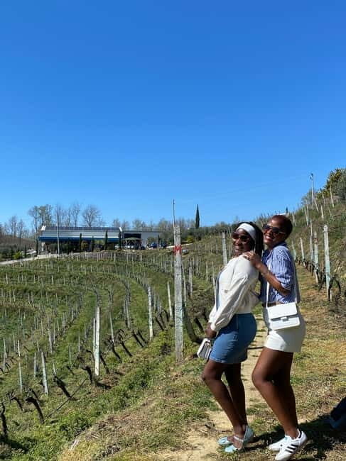Wine tasting tour, Optional wine yard tour and kayak rides - Key Points