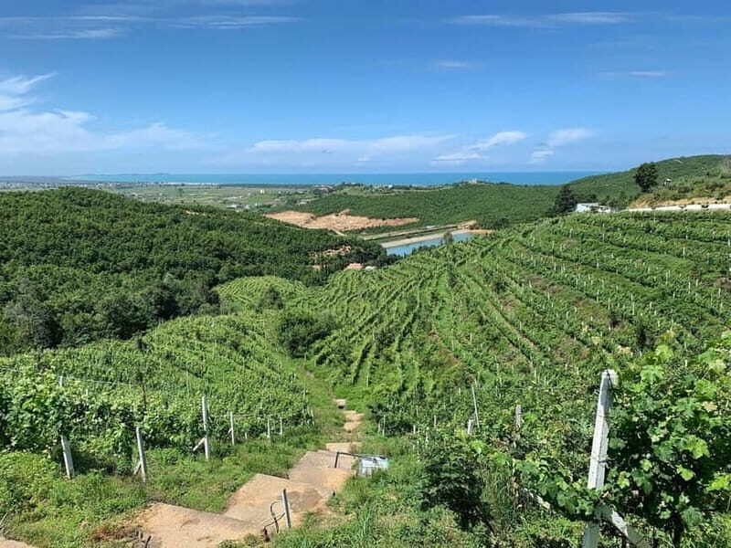 Wine tasting tour, Optional wine yard tour and kayak rides - Authenticity Over Commercialism