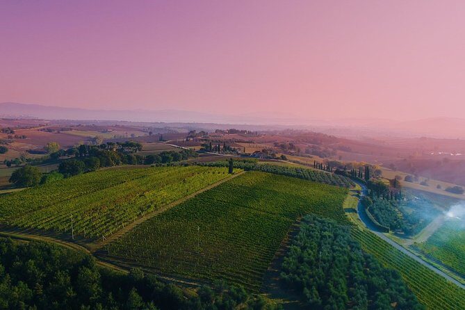 Wine Tasting & Tour Premium - What Reviewers Say