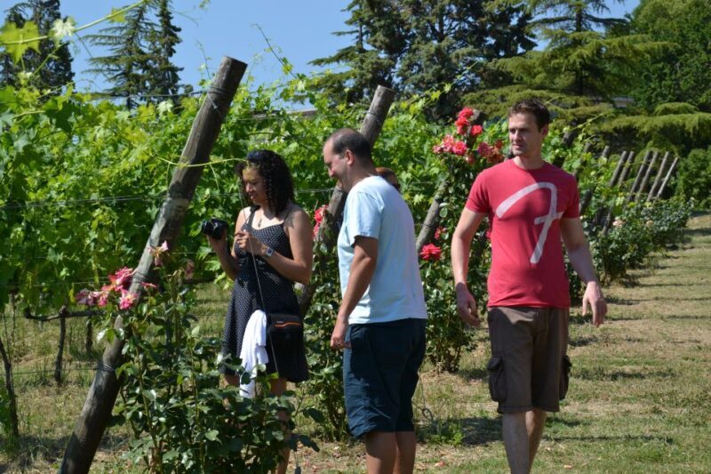 Wine tasting tour with olive oil and salami - Key Points