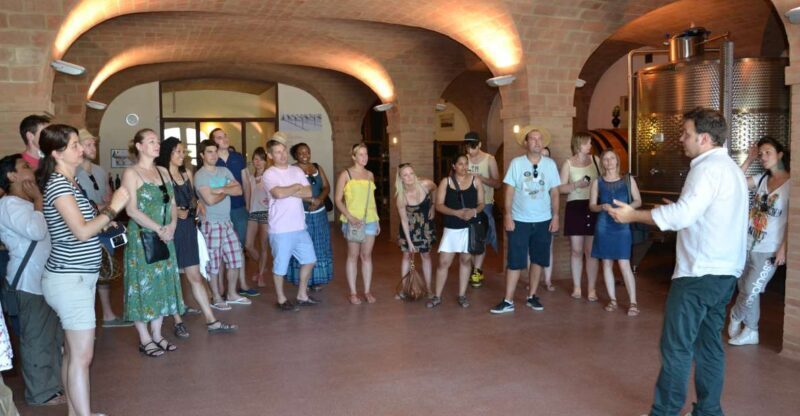 Wine tasting tour with olive oil and salami - The Real Value: What You Get for $43.27