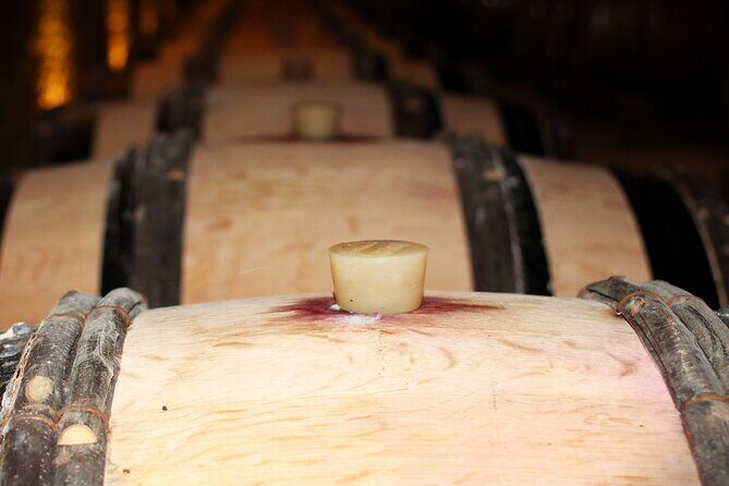 "Wine tasting tours in Burgundy" - Authenticity and Quality