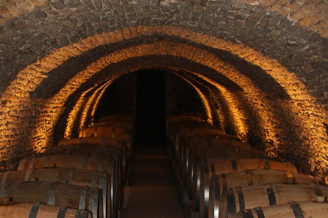 "Wine tasting tours in Burgundy" - Price & Value Analysis
