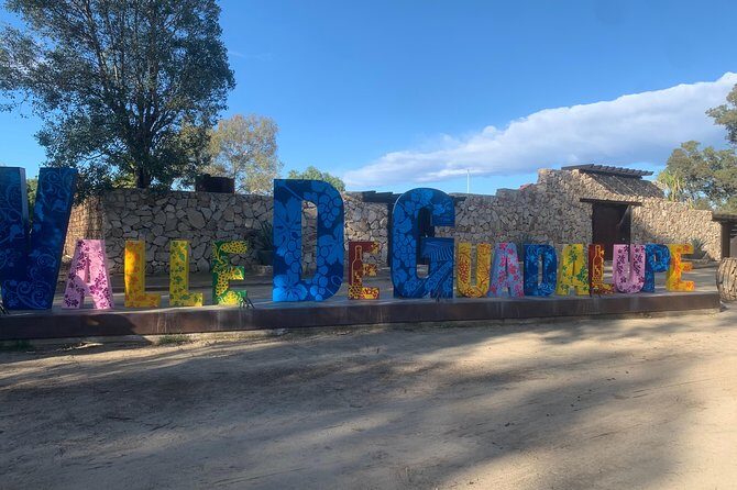 Wine tasting Valle de Guadalupe & Casa Frida - Discovering the Valle de Guadalupe & Casa Frida: A Balanced Look at the Tour Experience