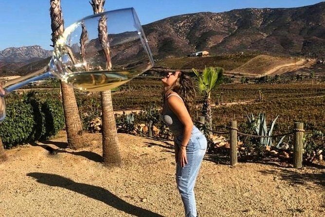 Wine tasting Valle de Guadalupe & Casa Frida - Key Points
