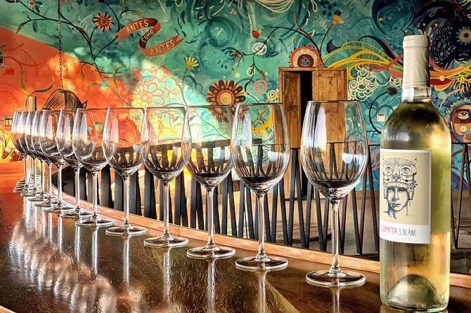 Wine tasting Valle de Guadalupe & Casa Frida - What’s Included and What’s Not?