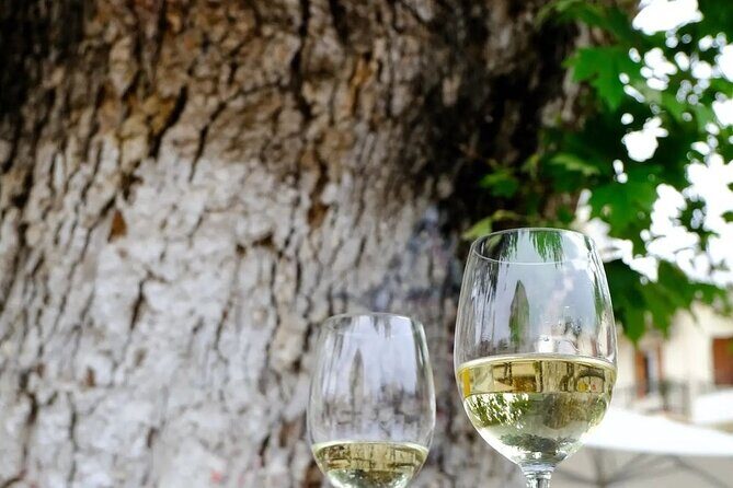 Wine Tasting Walking Tour in Old Town Chania - A Detailed Look at the Tour Experience