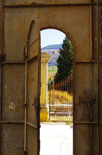 Wine Tasting whit Painting Lesson in Baglio Florio - A Detailed Look at the Experience