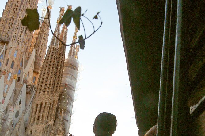 Wine tasting with a view of the Sagrada Familia - Detailed Review of the Experience