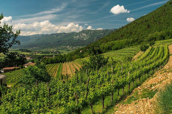 Wine Tasting with Cold Cuts - Exploring the Details of This Wine Tasting Tour