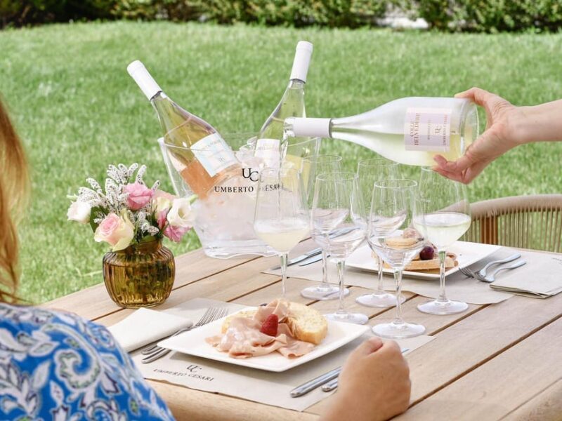 Wine Tasting with Food Pairing near Bologna - A Detailed Look at the Wine Tasting with Food Pairing Near Bologna
