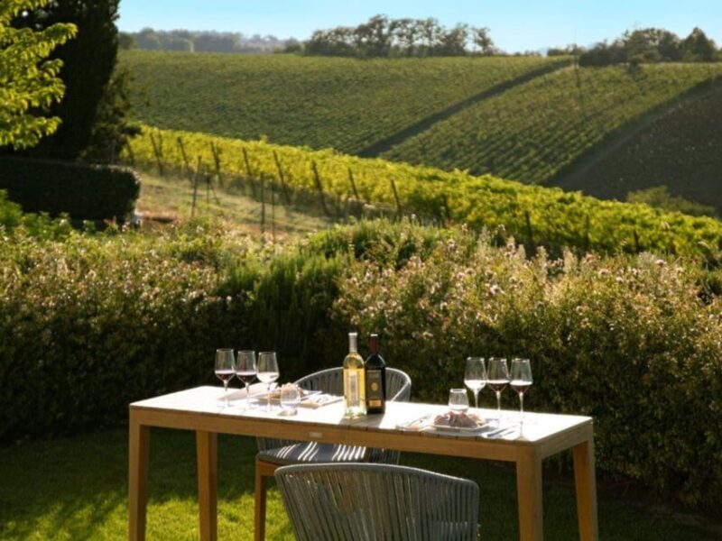 Wine Tasting with Food Pairing near Bologna - Key Points