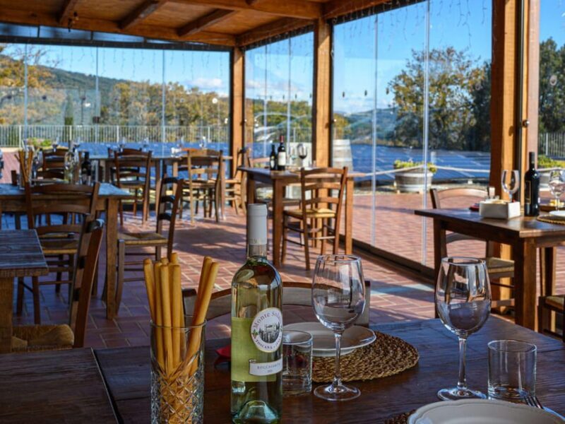 Wine Tasting with Local Food Pairing near Livorno - A Closer Look at the Experience
