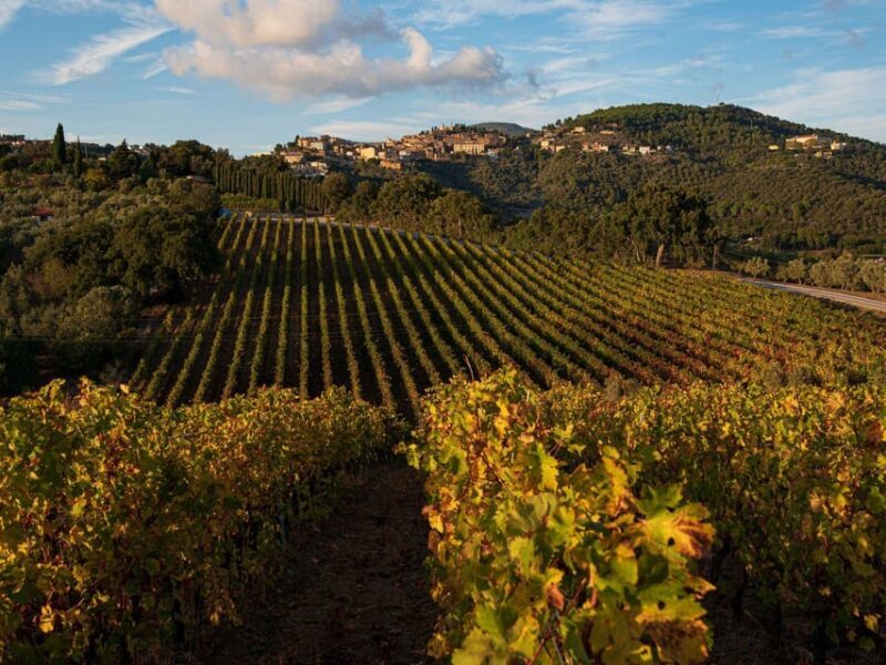Wine Tasting with Local Food Pairing near Livorno - FAQ