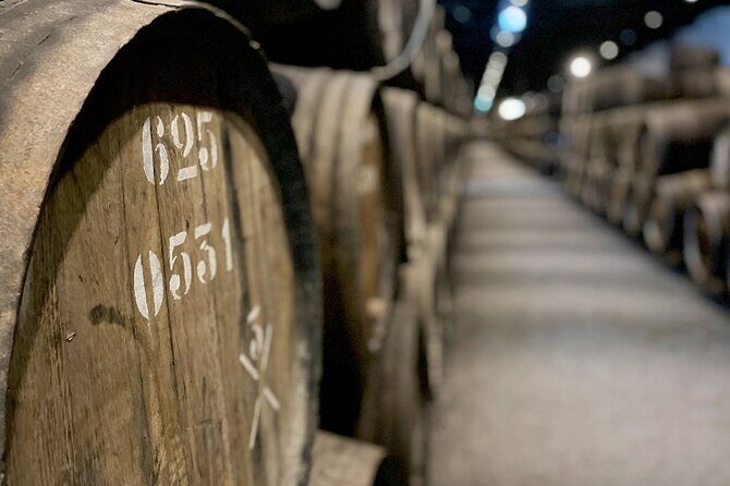 Wine Tasting with Tapas Walking Tour in Porto - Discovering Portos Wine Charm: The Itinerary in Detail