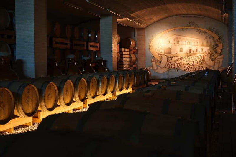 Wine Tour and Dinner: Puglia at the table - In The Sum Up: Is it Worth It?