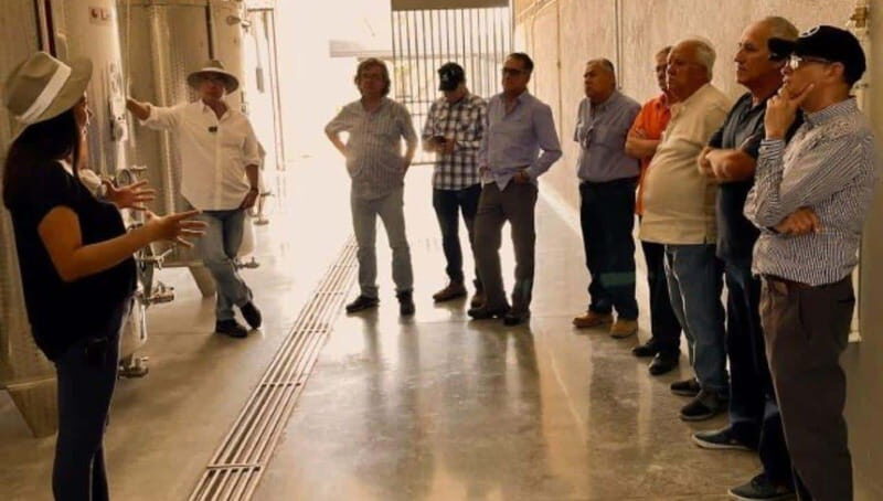 Wine tour and tasting at Vinícola Tierra de Luz - The Experience in Detail