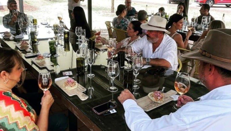 Wine tour and tasting at Vinícola Tierra de Luz - Who Should Consider This Tour?