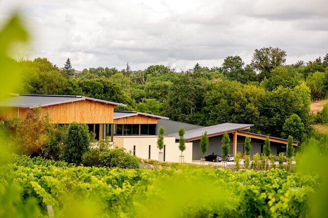 Wine tour and tasting Chateau de Malherbes - What to Expect from the Tour at Château de Malherbes