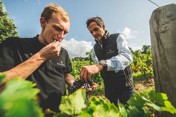 Wine tour and tasting Chateau de Malherbes - The Value of the Experience