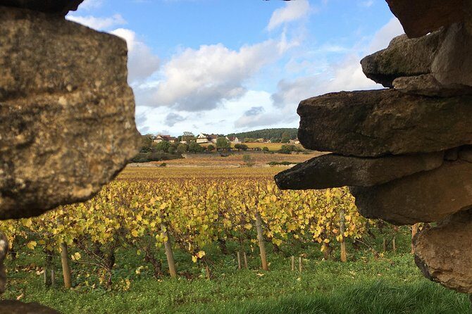 Wine tour and tasting in Burgundy - An Introduction to Burgundy’s Vineyards