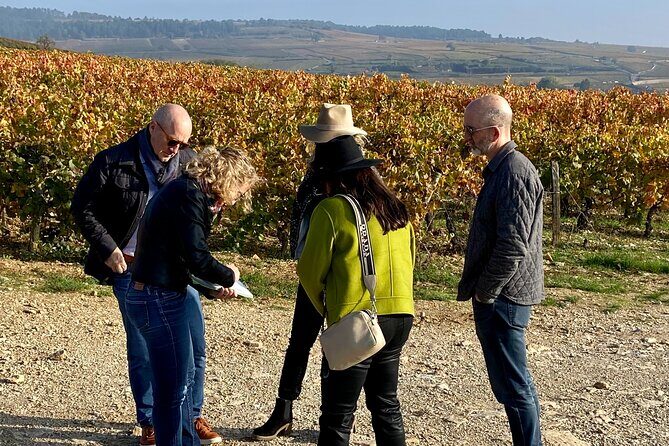 Wine tour and tasting in Burgundy - The Tasting: An Intimate Finale